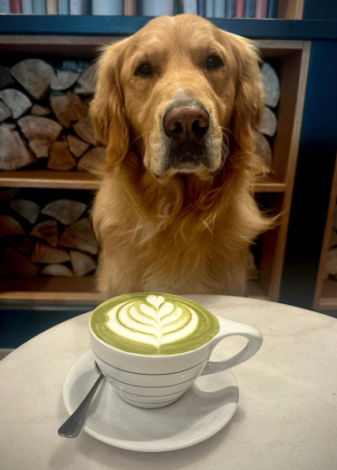 The best coffee in Cardiff | Coffee shops and cafes | Visit Wales